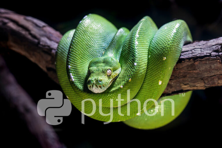 Pronto se podrá ejecutar código Python en el navegador web - Windtux